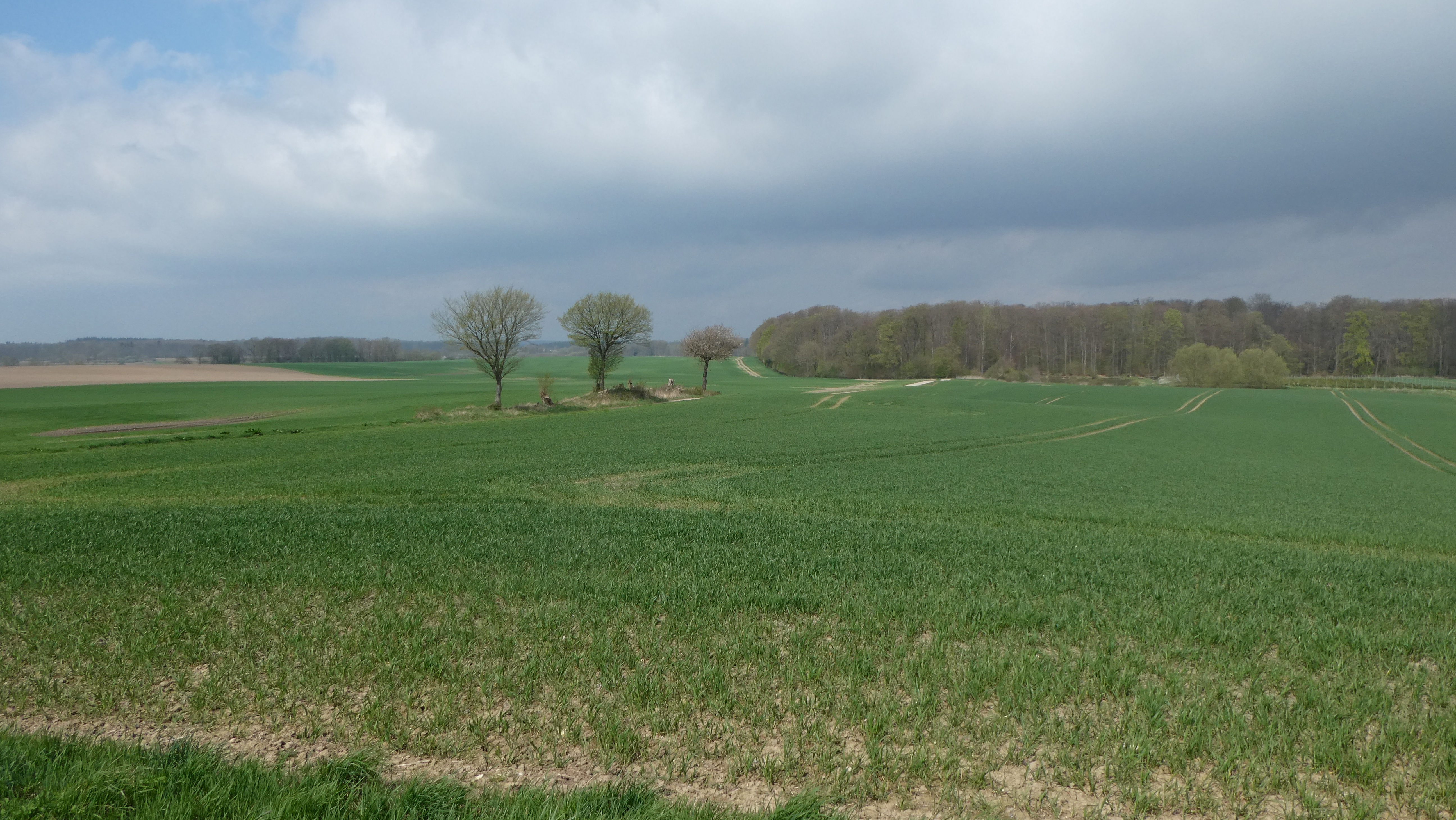 Galerie: Weg der Jakobspilger in und um Ahrensbök